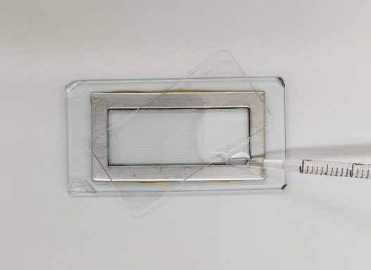 S50 Sedgewick Rafter Counting Chamber (plastic). Includes 1 cover glas ...