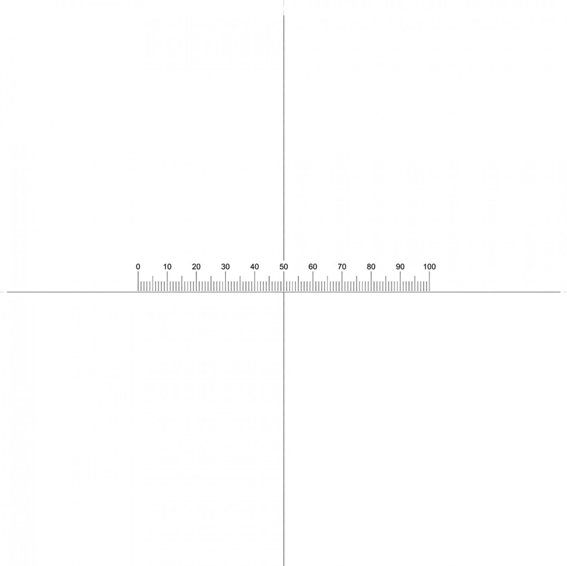 NE7 Horizontal Micrometer Scale 10mm/0.1mm with Crosslines – AllEm